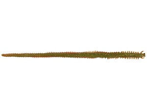 Berkley Gulp 6" Sandworm - Tackle Warehouse