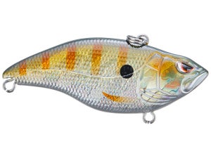 SPRO Essential Series Aruku Shad Lipless Crankbait - Tackle Warehouse