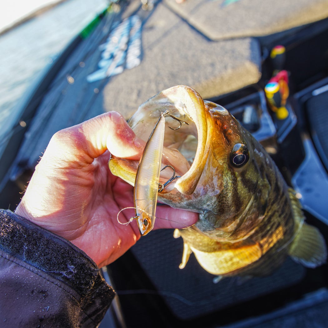 Berkley - Tackle Warehouse