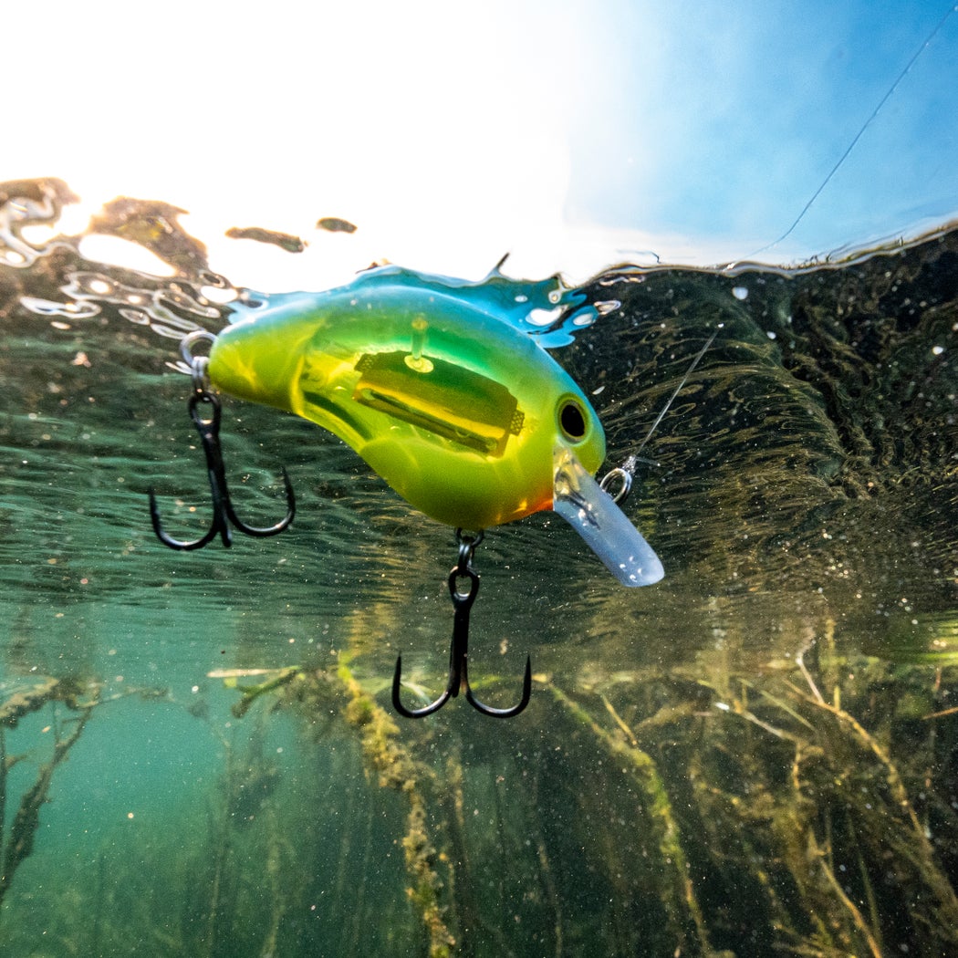 Shimano - Tackle Warehouse