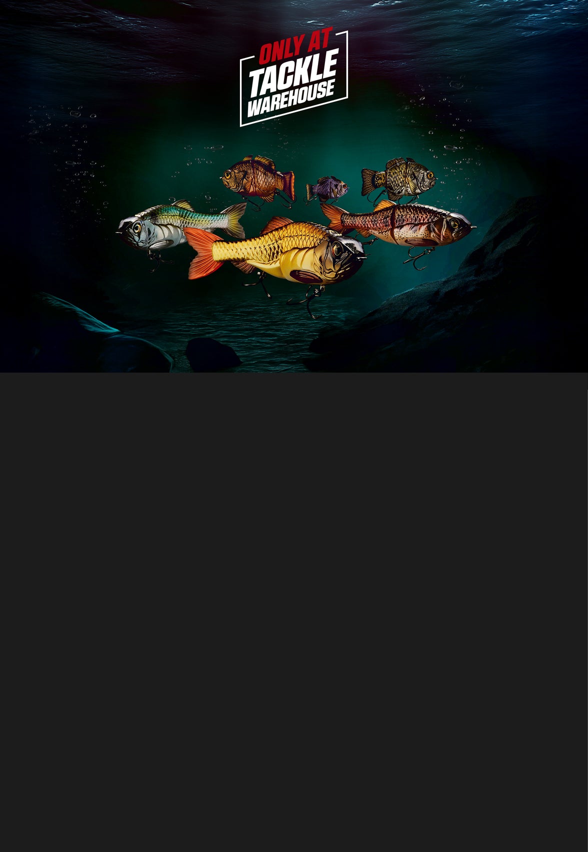 Tackle Warehouse - Bass Fishing Shop for Fishing Rods, Reels, Swimbaits ...