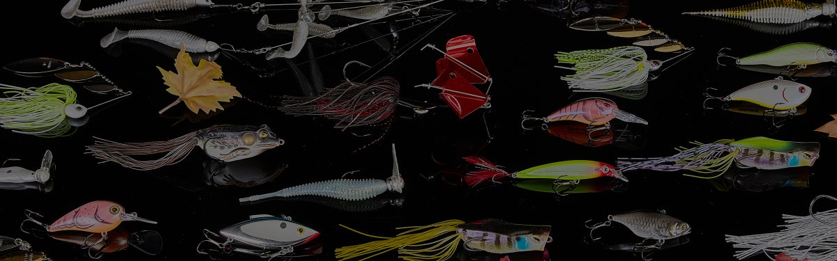 TW Staff Picks for Fall Bass Fishing - Tackle Warehouse