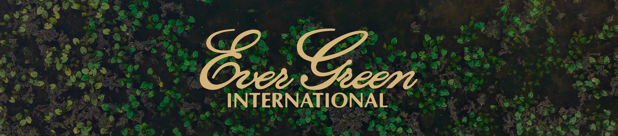 Evergreen International - Tackle Warehouse