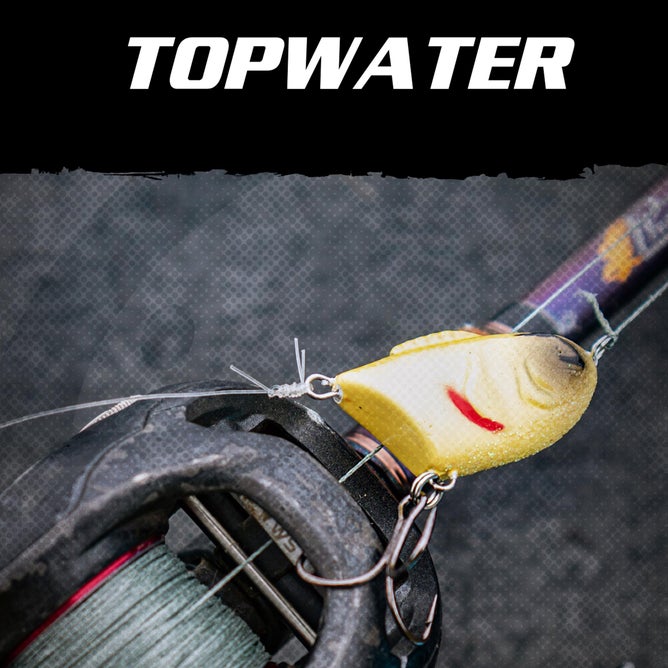 Bill Lewis - Tackle Warehouse
