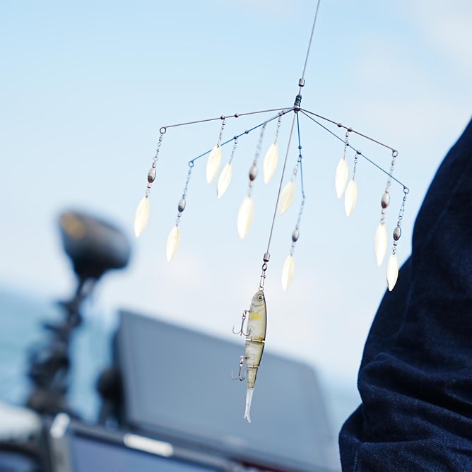 Geecrack - Tackle Warehouse