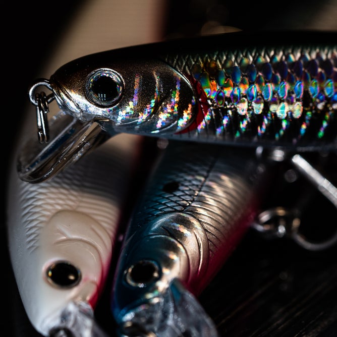 Lucky Craft - Tackle Warehouse