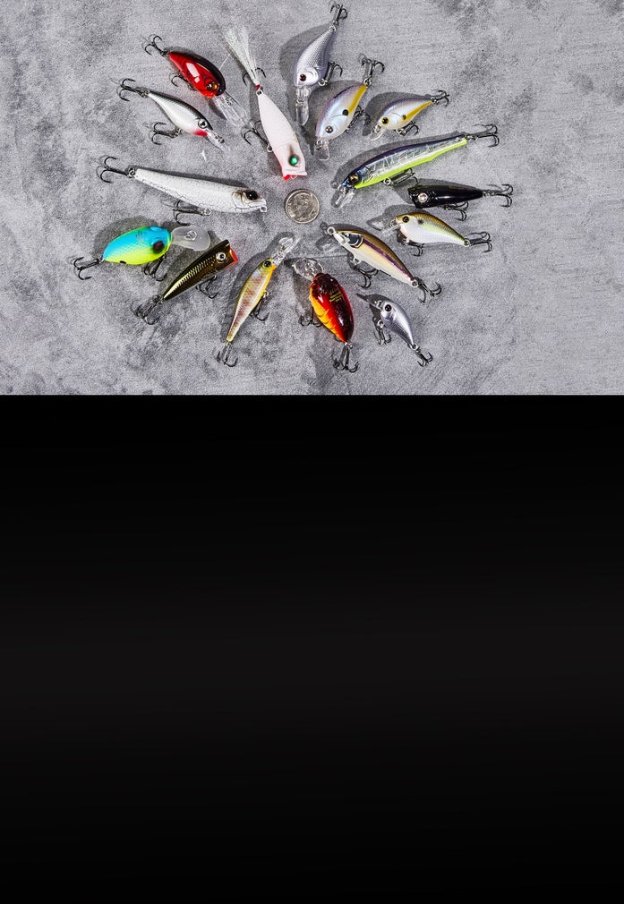 BFS (Bait Finesse System), Rods, Reels, and Line! - Tackle Warehouse