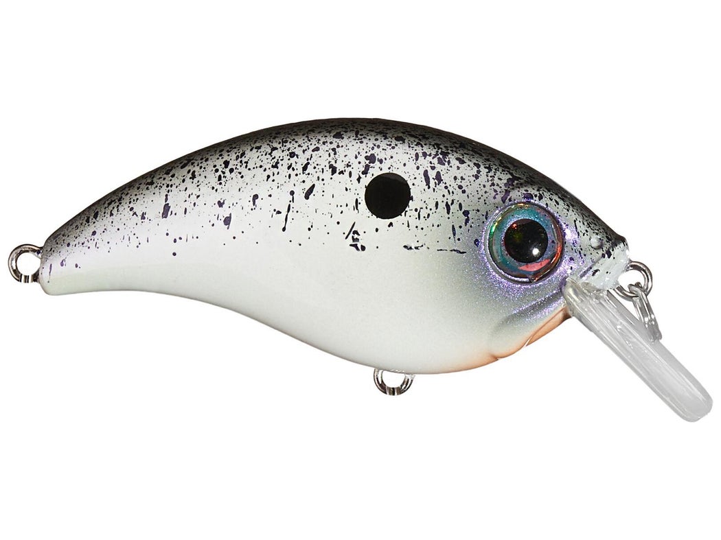 Bill Lewis - Tackle Warehouse