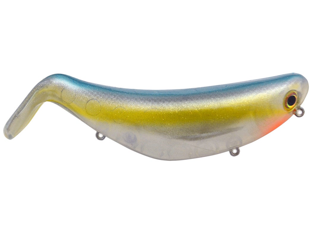 Bill Lewis - Tackle Warehouse