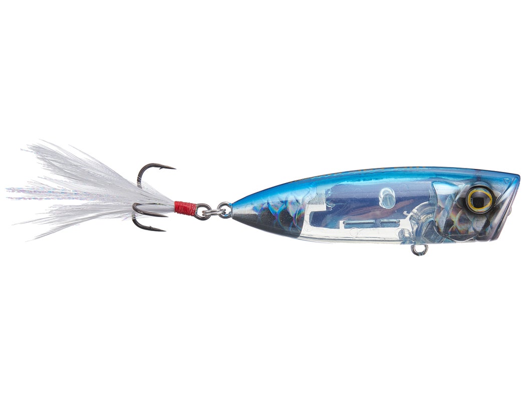 Shimano - Tackle Warehouse