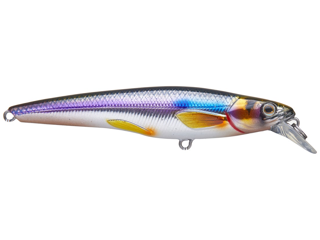 LIVETARGET Rainbow Smelt Jerkbait 91S | Tackle Warehouse