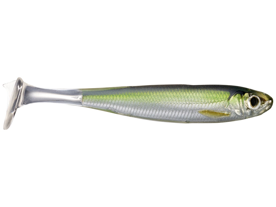 LIVETARGET Slow Roll Shiner Swimbait - Tackle Warehouse