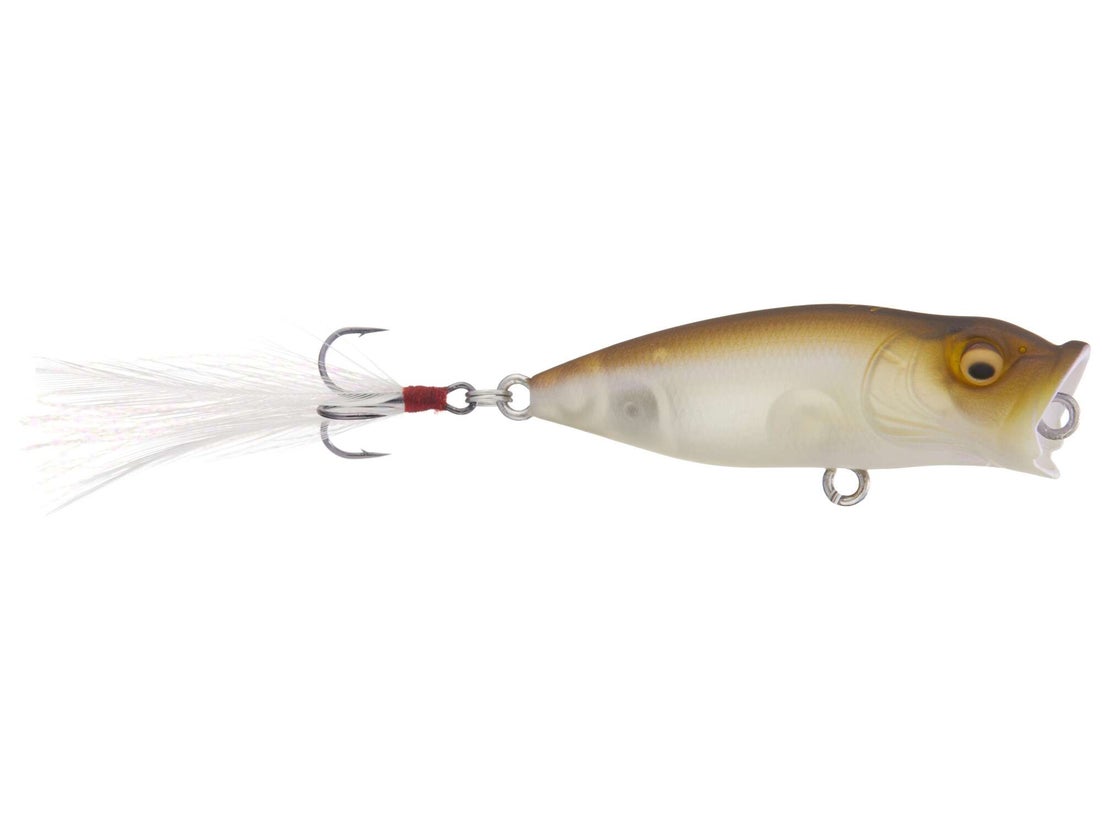 Megabass Baby Pop X BFS Popper | Tackle Warehouse