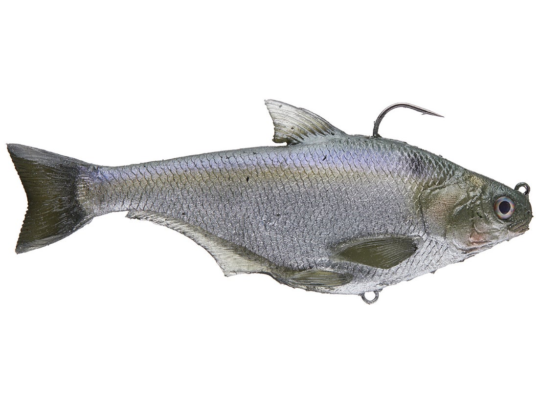Mattlures Hammer Tail Shad Swimbaits - Tackle Warehouse