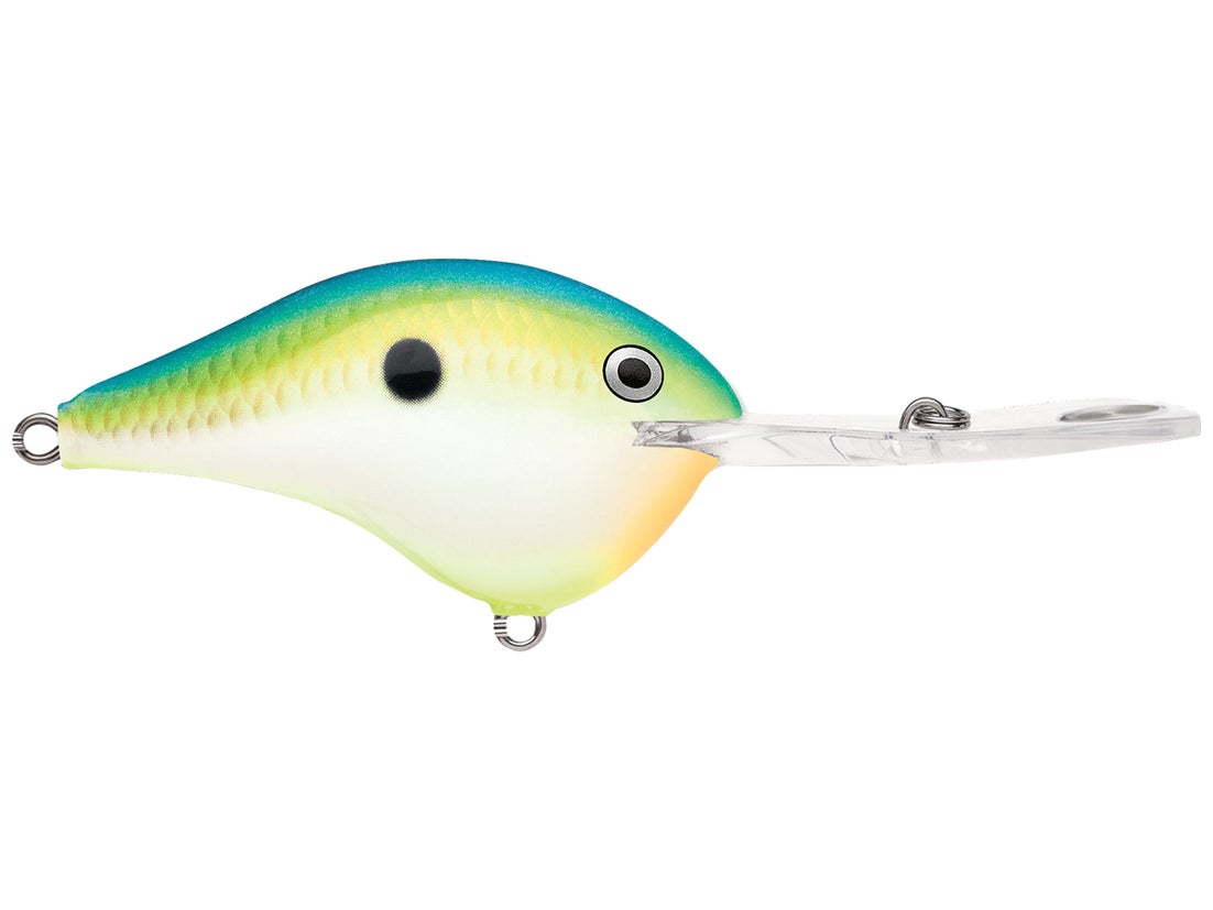 Rapala DT20 Series Crankbaits - Tackle Warehouse