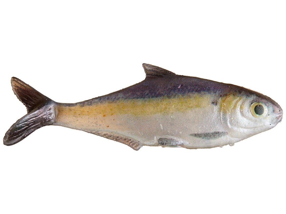 True Bass Texas Shad Line Through Swimbait 6" - Tackle Warehouse