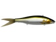 Fish Arrow x DRT Dart Jack 220 Swimbait | Tackle Warehouse
