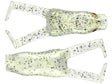 Frog Factory Ribbit Frog | Tackle Warehouse