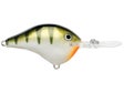 Rapala Glass Shad Rap 7 Crankbaits | Tackle Warehouse