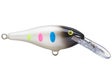 Rapala DT10 Series Crankbaits | Tackle Warehouse