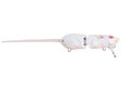 SPRO Rat Wakebait | Tackle Warehouse