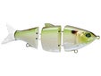 Mach Baits - Tackle Warehouse