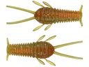 Ned Baits - Tackle Warehouse
