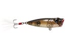 Owner - Tackle Warehouse