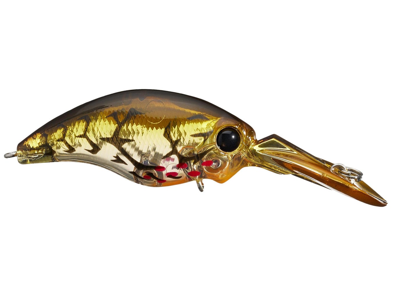 Evergreen Wild Hunch 5 Crankbaits - Tackle Warehouse