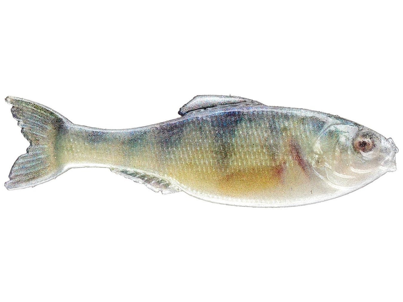 6th Sense Panorama Shad | Tackle Warehouse