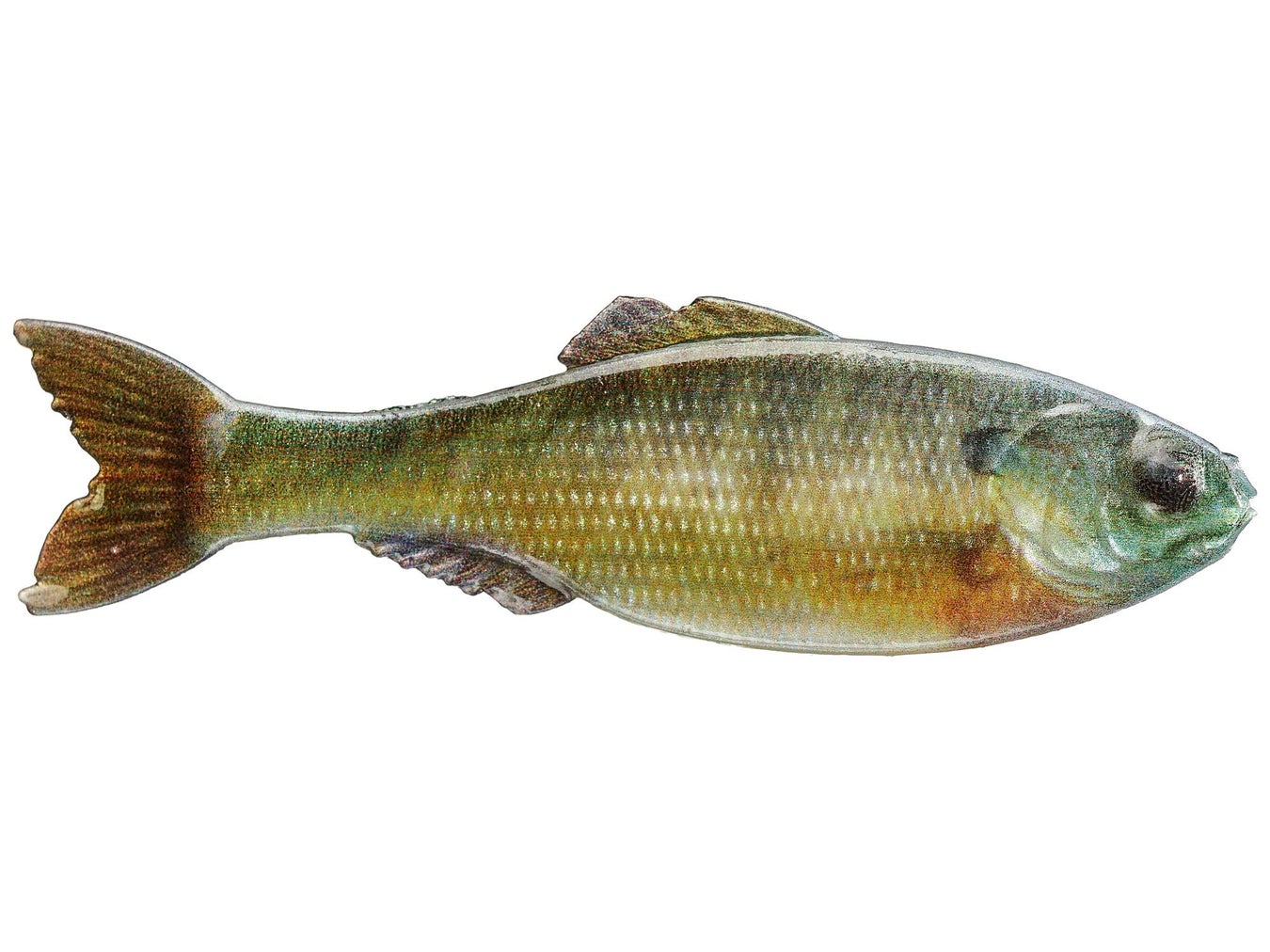 6th Sense Panorama Shad - Tackle Warehouse