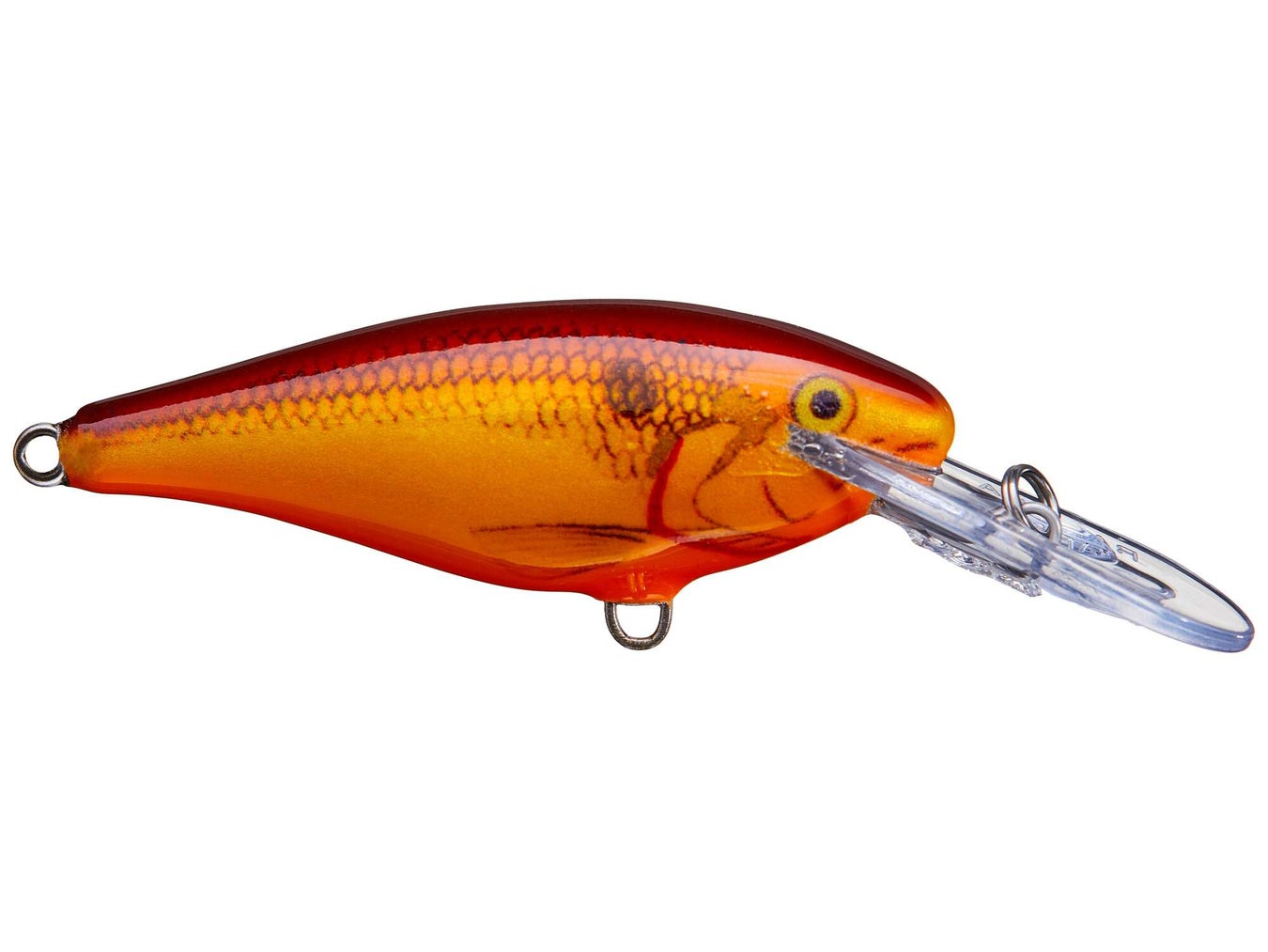 Rapala Shad Rap 5 Crankbaits | Tackle Warehouse