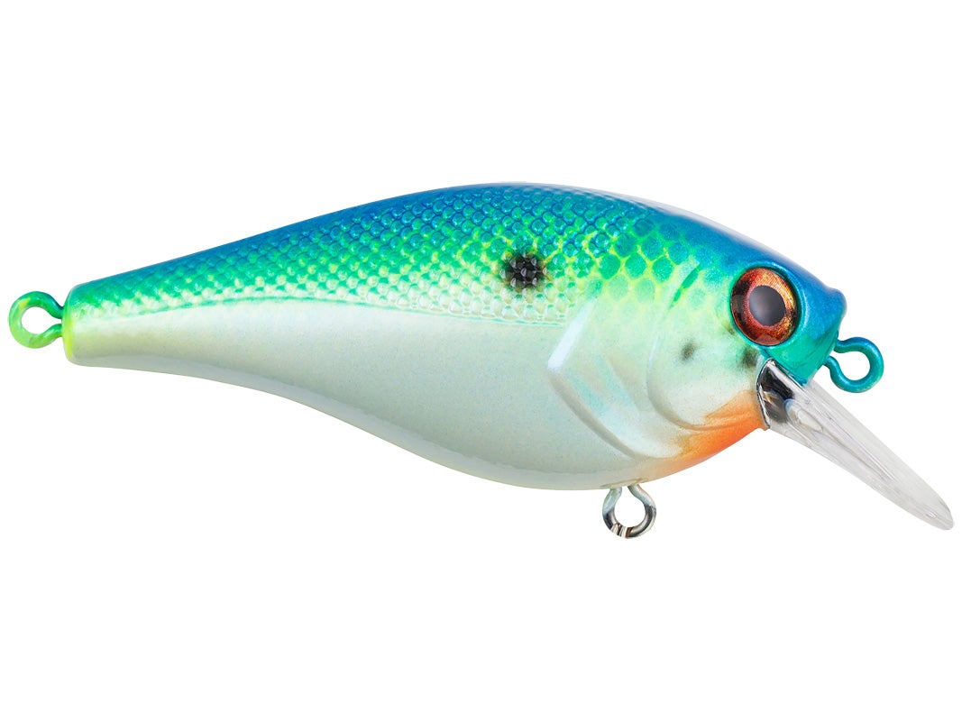 Berkley Squarebull 5.5 Crankbait - Tackle Warehouse