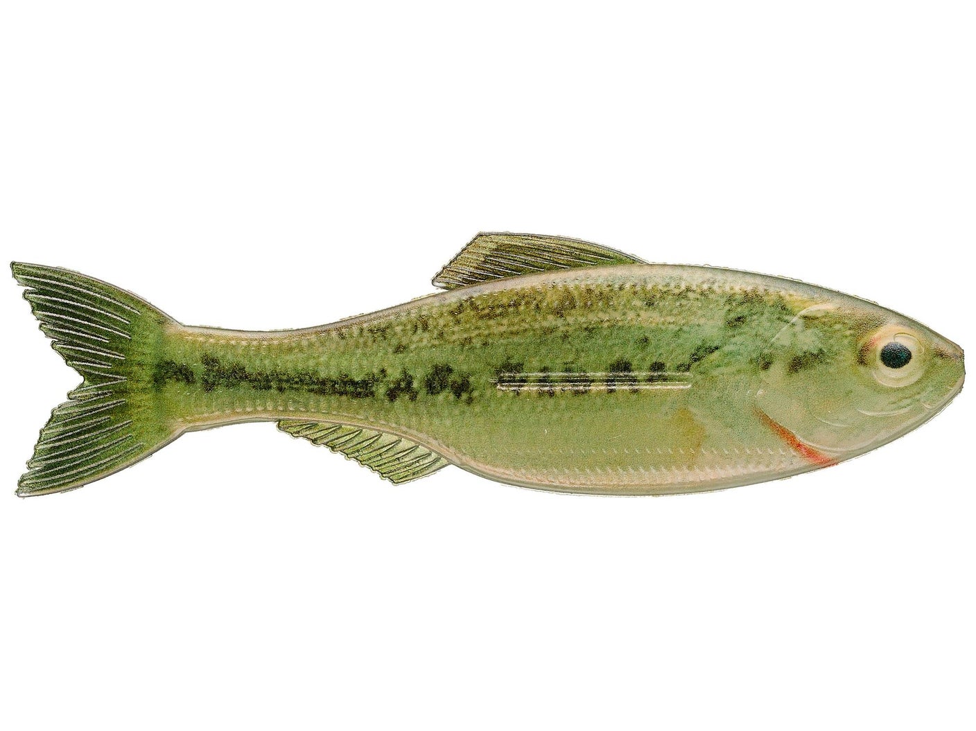 6th Sense Plump Panorama - Tackle Warehouse