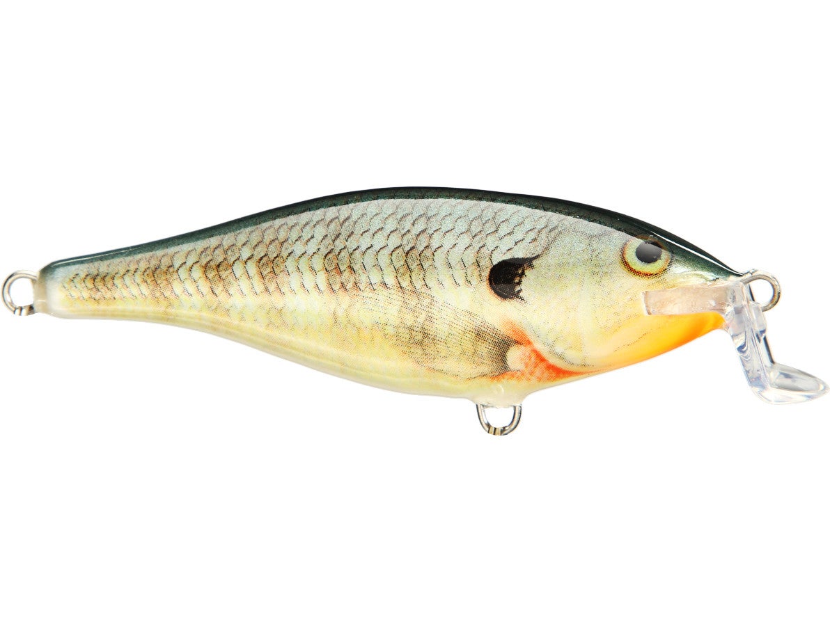 Rapala Shallow Shad Rap 7 Crankbaits - Tackle Warehouse