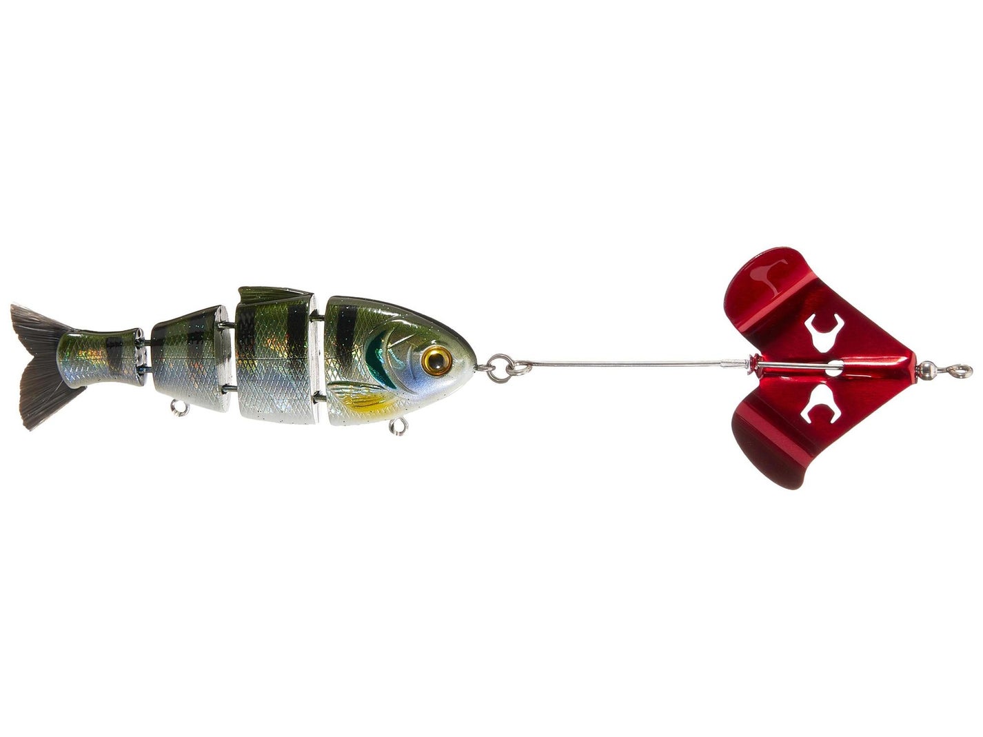 Bucca Brand Buzzing Baby Bull Shad - Tackle Warehouse