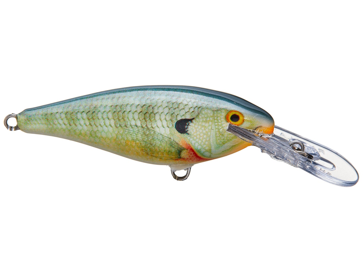 Rapala Shad Rap 5 Crankbaits - Tackle Warehouse