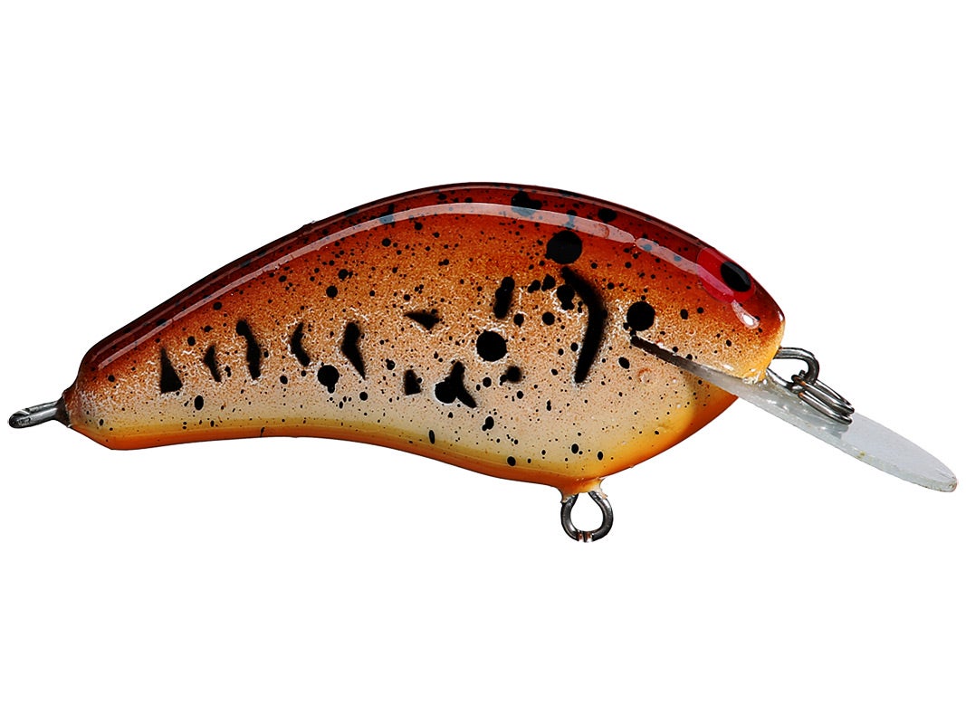 PH Custom Lures "Lowen's" Dollar Bill Crankbait | Tackle Warehouse