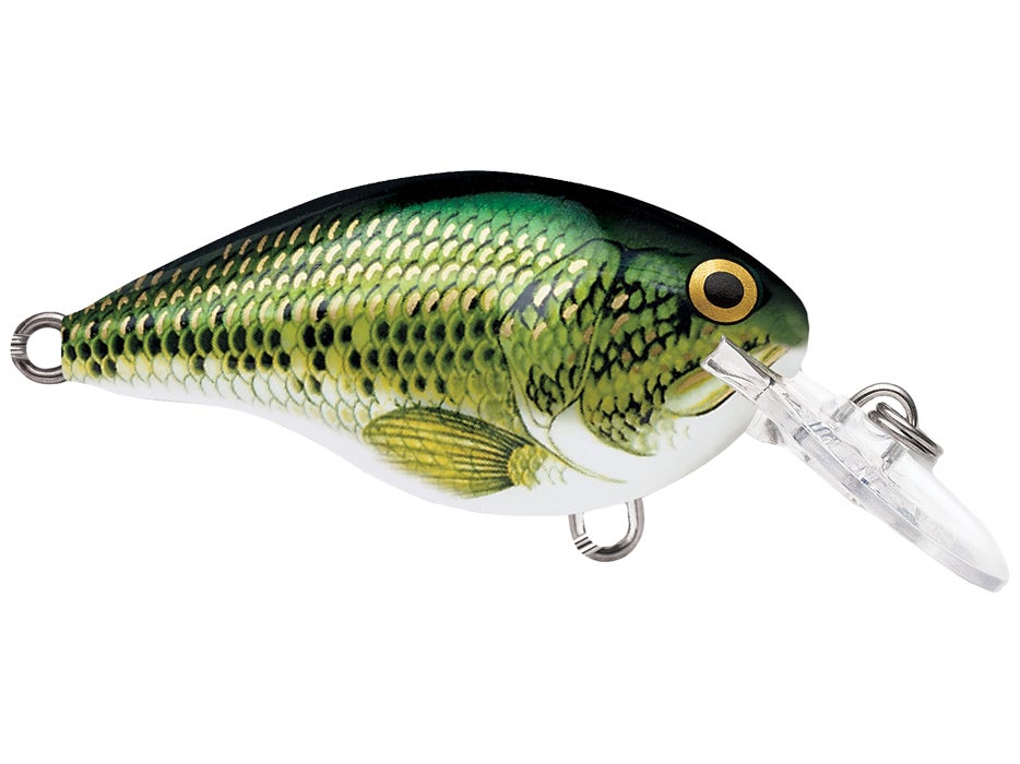 Rapala DT4 Series Crankbaits | Tackle Warehouse