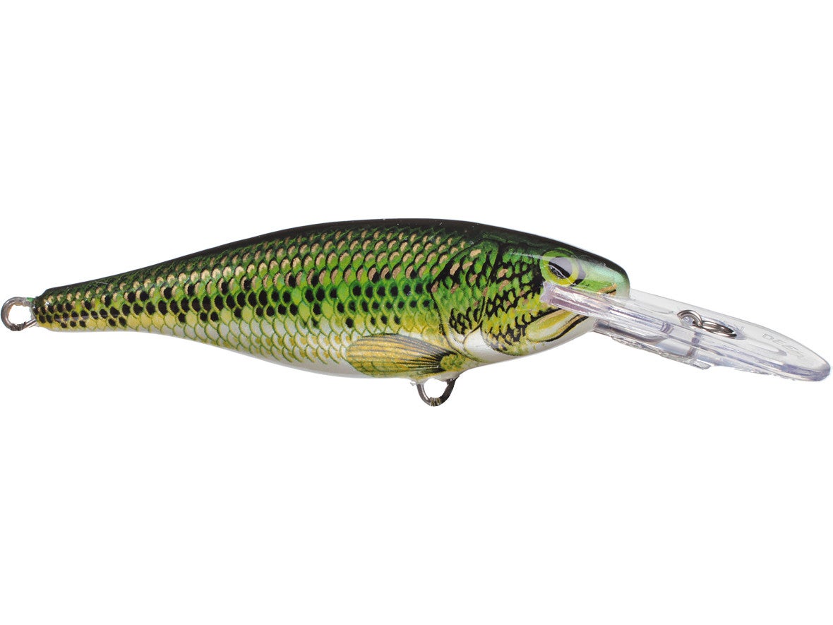 Rapala Shad Rap 7 Crankbaits | Tackle Warehouse