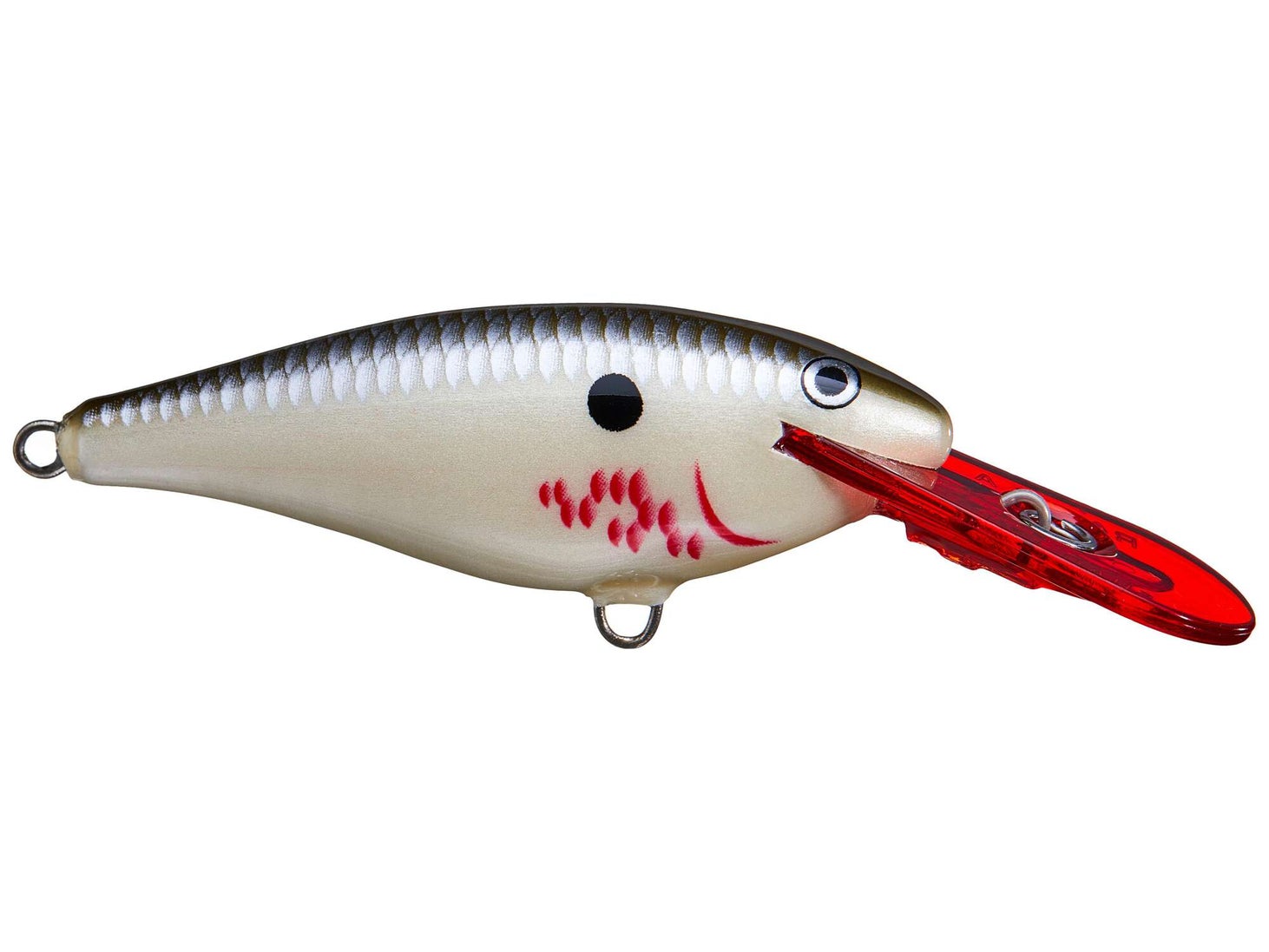Rapala Shad Rap 5 Crankbaits | Tackle Warehouse
