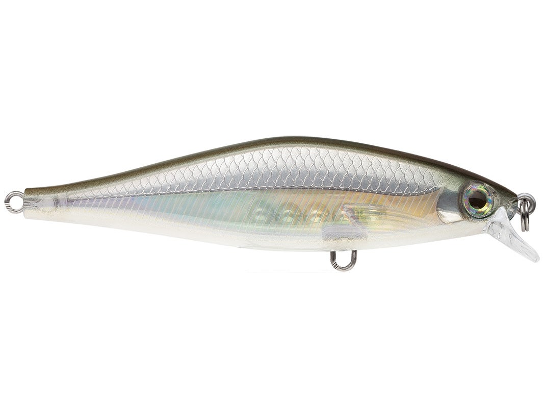 Rapala Shadow Rap Shad Jerkbaits | Tackle Warehouse