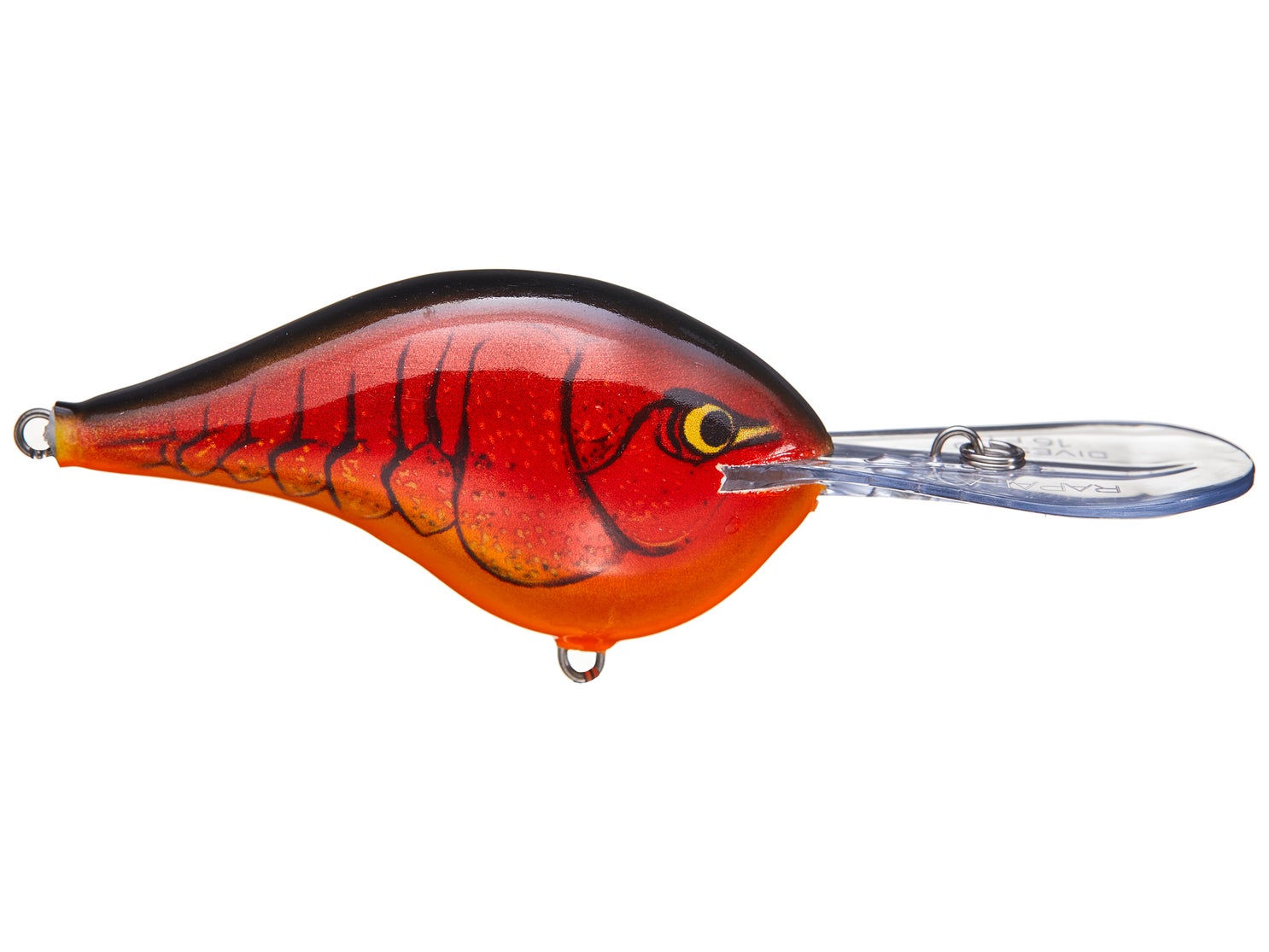 Rapala DT16 Series Crankbaits | Tackle Warehouse