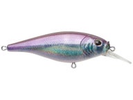 Berkley Flicker Shad HD Shallow Crankbait - Tackle Warehouse