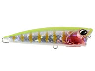 Duo Realis FangPop Popper - Tackle Warehouse