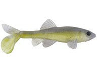 Little Creeper All American Trash Fish Swimbaits 2pk - Tackle Warehouse