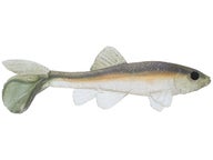 Little Creeper All American Trash Fish Swimbaits 2pk - Tackle Warehouse
