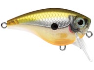 Rapala DT6 Series Crankbaits - Tackle Warehouse