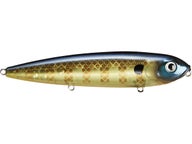Strike King KVD Sexy Dawg - Tackle Warehouse