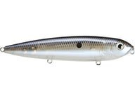 Strike King KVD Sexy Dawg - Tackle Warehouse